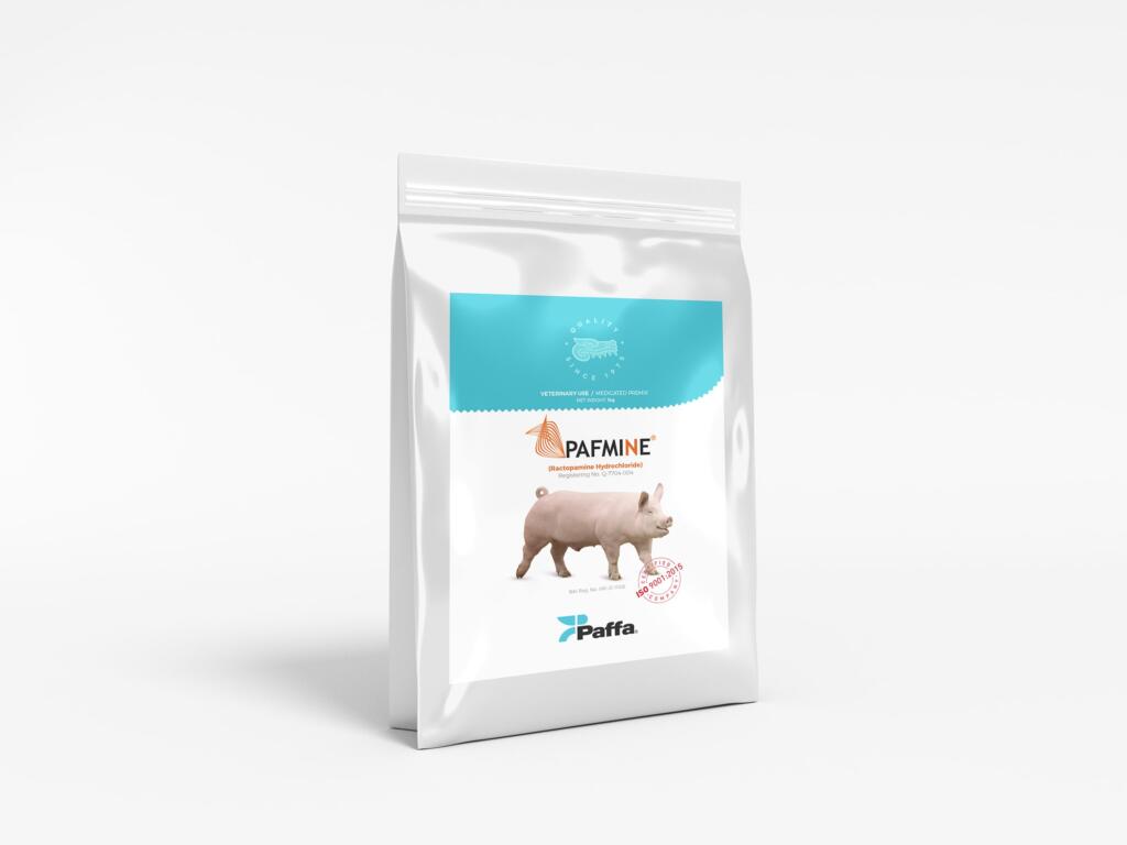 Pafmine – Paffa