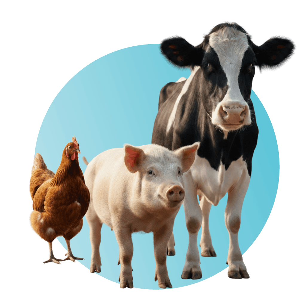 Paffa – Soluciones Agropecuarias